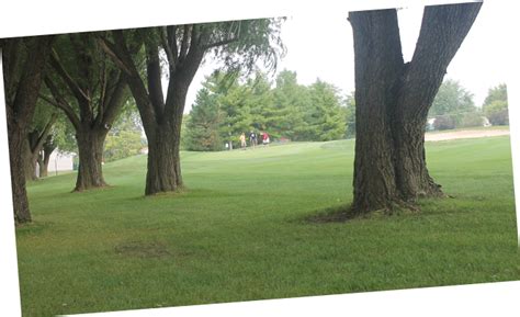 Frankfort Park District