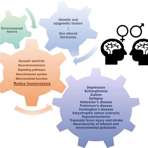 Sex Differences In Brain Disease Are Due To The Environmental Factors