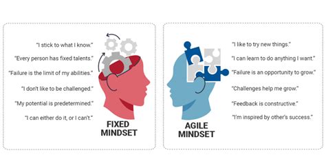 Modern Leadership Styles — What Does It Mean To Be An Agile Leader Sdi