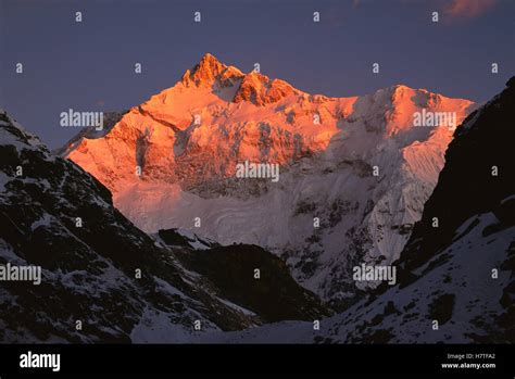 Dawn On Kangchenjunga Talung Face 8595 Meters Most Easterly Of The