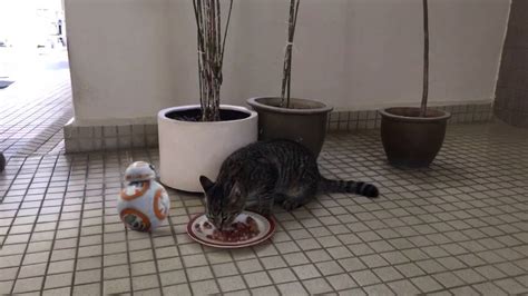 Bad Bad Bb 8 Youtube