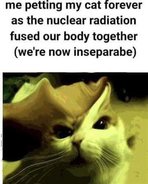 “meow Incorporated” 50 Perfectly Accurate Memes That Capture What Its