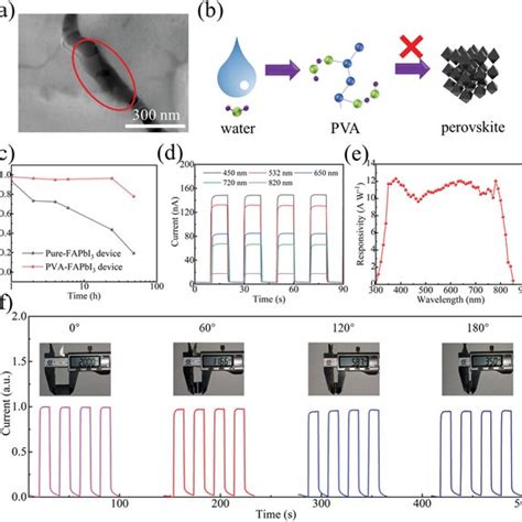 Linear Dynamic Range Detection Limit And The 3db Bandwidth Of The