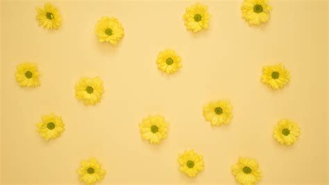 Yellow Aesthetic Computer Wallpapers 4k Hd Backgrounds On Wallpaperbat