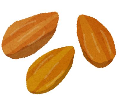 アーモンドナッツのイラスト かわいいフリー素材集 いらすとや アーモンドナッツのイラスト かわいいフリー素材集 いらすとや