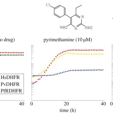 Example Of A High Throughput Screening Result Relative Fluorescence Download Scientific