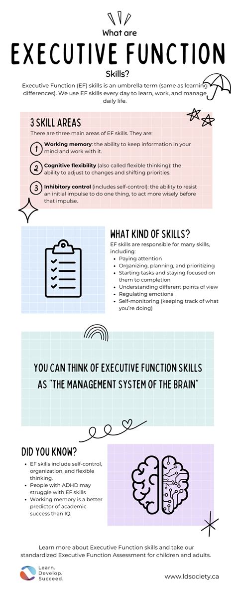 Executive Function Assessment Programs Lds