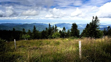 Belchen Floresta Negra Cume Foto Gratuita No Pixabay Pixabay