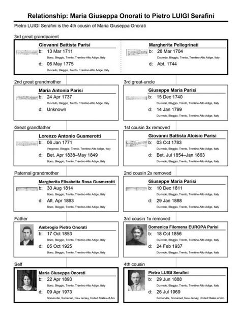 Kissing Cousins Marital Dispensations Consanguinity Affinity