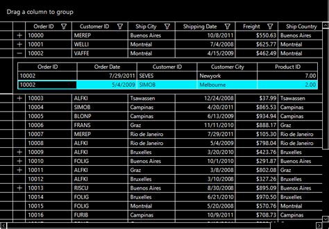 Theme In Winforms Datagrid Syncfusion