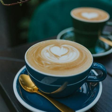 Fsi Language Courses