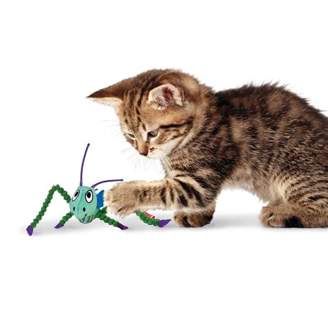 Kong Crackles Grasshopper Juguetes Para Gatos Petit Paws