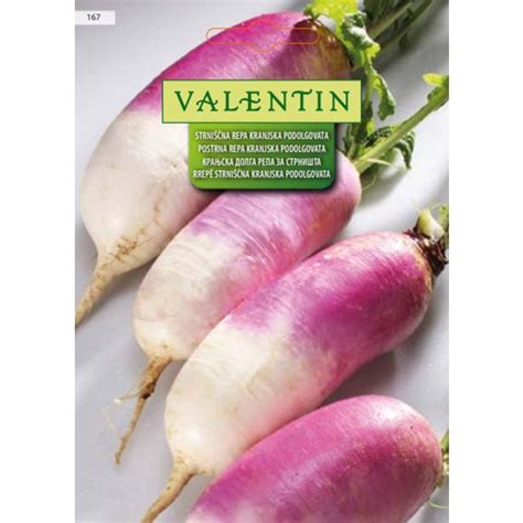 Korenovka Valentin 167 Repa Stran Kranjska Podolgovata Merkursi