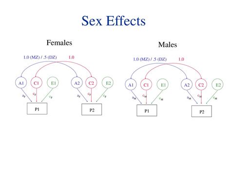 Heterogeneity Danielle Dick Hermine Maes Ppt Download