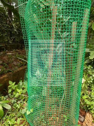 Mild Steel Tree Guard At Piece In Chennai ID