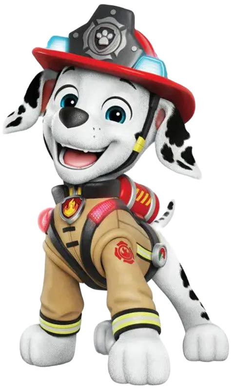 Have Fun Shop Toys And Learn Paw Patrol In 2025 Paw Patrol