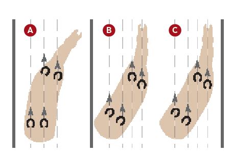 How To Ride Renvers Haunches Out With Lauren Sprieser