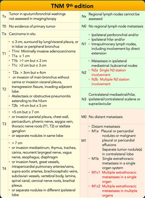 The Radiology Assistant Tnm Classification 9ᵗʰ Edition
