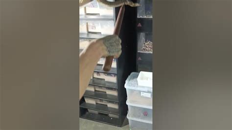 Naja Naja Kobra Indická Youtube