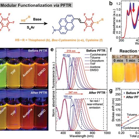 Rational Design Of A Clickable And Modular Molecular Sensor Based On Download Scientific