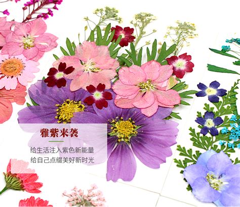 干花压花干花贴脸 树叶粘贴画 真树叶标本 真花创意书签 阿里巴巴