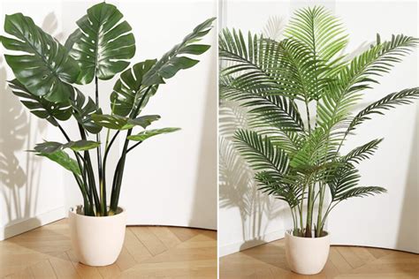 5 Best Artificial Plants For A Natural And Stylish Home Decor Garden