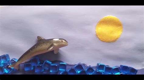 Stop Motion The Ocean Youtube