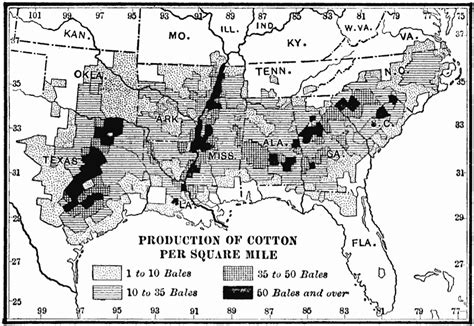 Cotton Production In The South