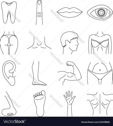 Body Parts Icons Set Outline Style Royalty Free Vector Image
