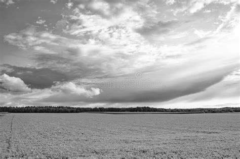 Nature Landscape Scenery Meadow With Green Grassy Field Grassy Field