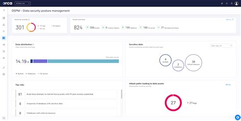 Securing Sensitive Data Across Clouds With Orcas Dspm