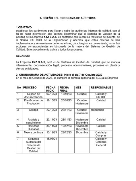 Ejemplo De Programa Y Plan De Auditoria Pdf Auditoría Calidad Comercial