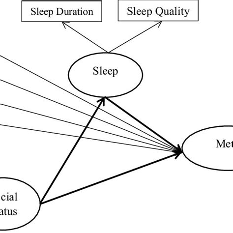 Hypothesized Structural Equation Model For Significant Relationships Download Scientific