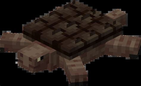 Alligator Snapping Turtle Minecraft Fanon Wiki Fandom