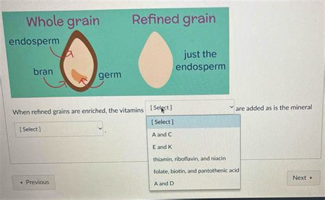 Solved Whole Grain Refined Grain Just The Endosperm When Refned Grains