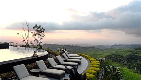 The Relationship Between Incentives And Motivation Stacy Whitlow