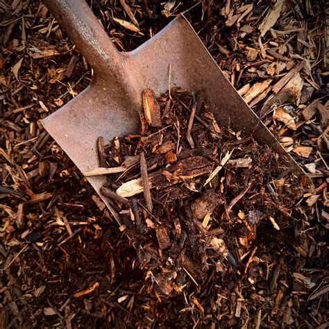 Mulch Meaning Mulch Everything You Need To Know Ebyland Llc