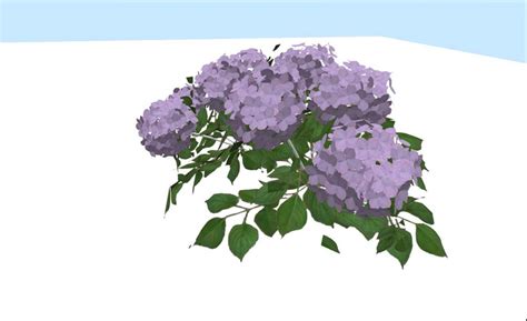 Second Life Marketplace Hydrangea Solo Pink