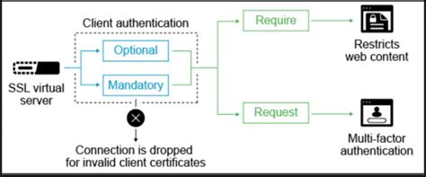 Tls Client Authentication Support In Netscaler Netscaler Ingress Controller