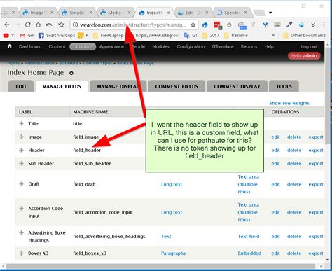 Path Aliases Can I Use Taxonomy Field To Display In Url Using