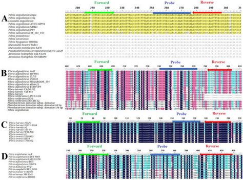 Development Of Multiple Real Time Fluorescent Quantitative Pcr For Vibrio Pathogen Detection In