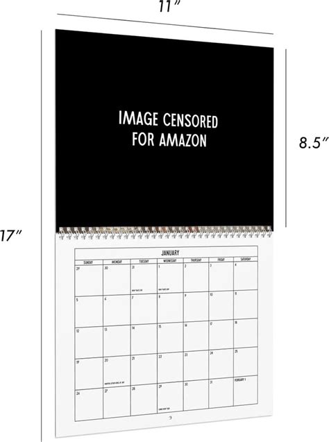 Nude Calendar For 2026 Sexy Full Frontal Nudity Studio Photos
