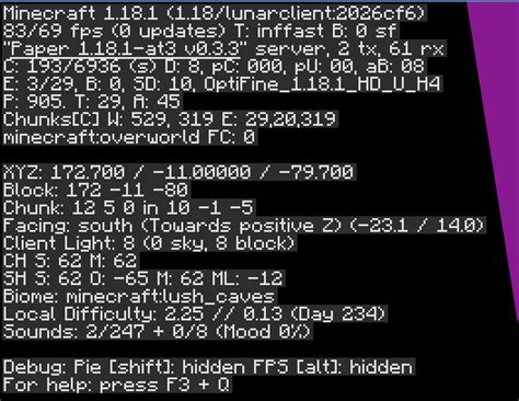 Bug On Hypixel Smp R Hypixel