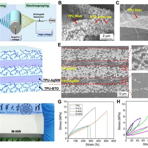 Fabrication Process And Topological Structure Of The Elastic Download Scientific Diagram