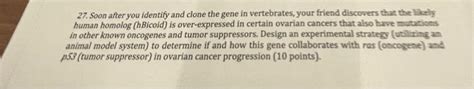 Solved 27 Soon After You Identify And Clone The Gene In