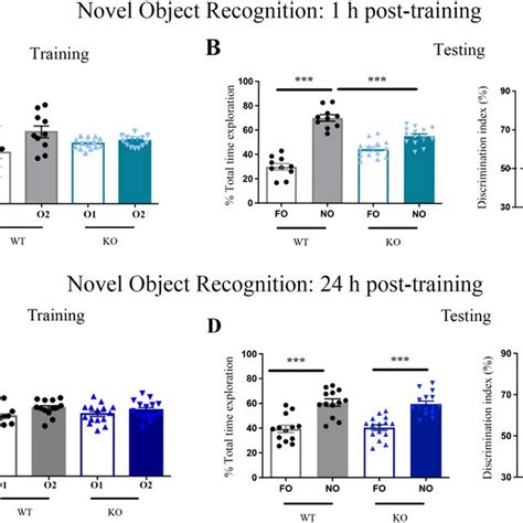 2 Electrophysiology Methods Coupled To Optogenetics Transfected Mice