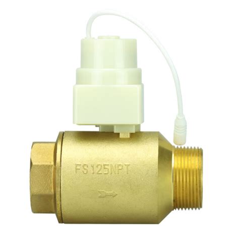 Floodstop 20087 Fsav125npt 1 1 4 Npt Motorized Valve