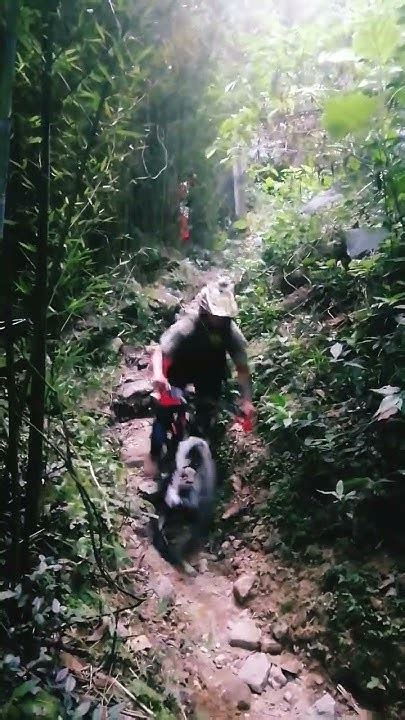 Santander 🎥🇨🇴🐐🌿 Youtube