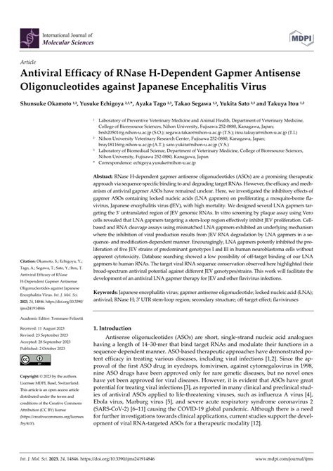 Pdf Antiviral Efficacy Of Rnase H Dependent Gapmer Antisense Oligonucleotides Against Japanese