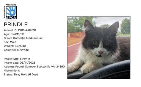 Charlottesville Albemarle Charlottesville Albemarle Spca